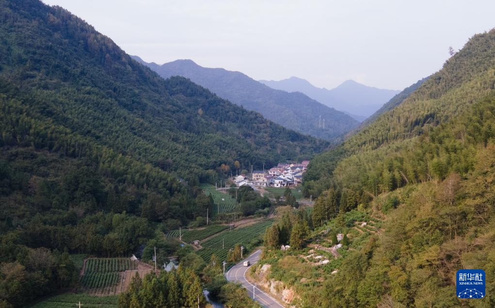 温度丨这条山路，见证他18年来对老人的暖心守护