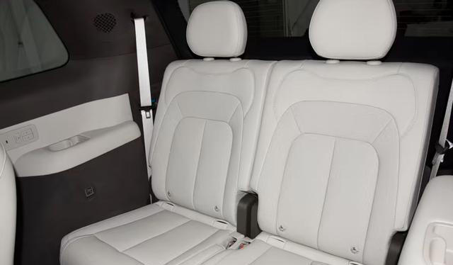 又一大六座SUV，腾势N8L售29.98万起，自己人都不放过