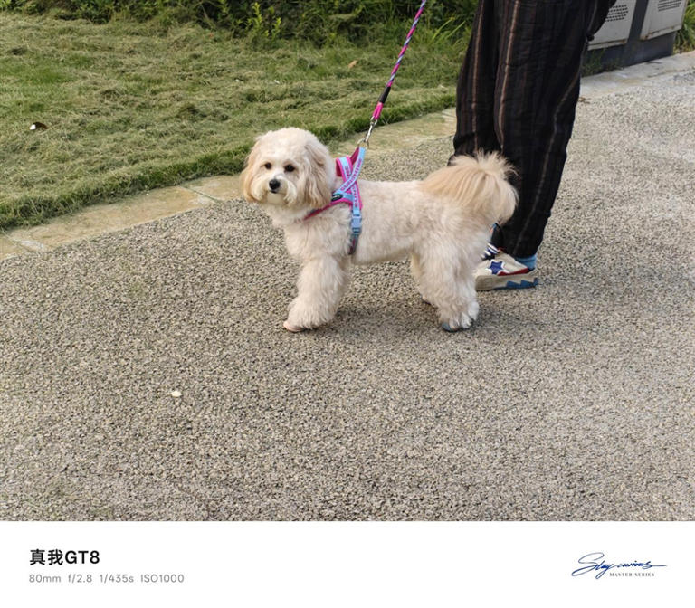 2K档最强性能！真我GT8评测：越级挑战的骁龙8至尊版