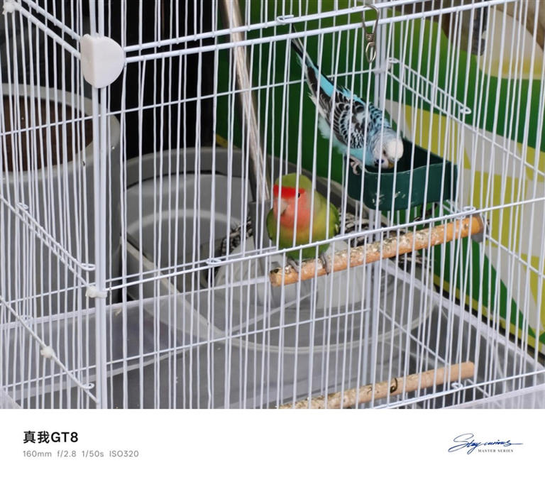 2K档最强性能！真我GT8评测：越级挑战的骁龙8至尊版