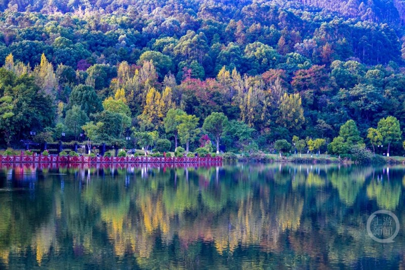 冬趣（65）| 上游主题摄影征稿作品展——周兴健作品