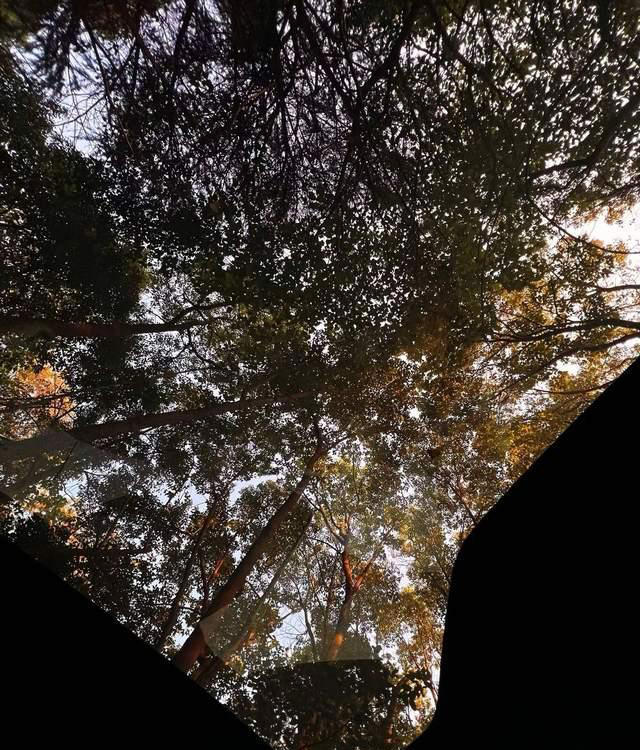 月薪2w,为什么选蔚来EC6不选BBA？