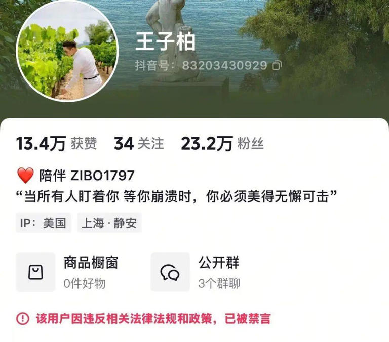 偷税749万的炫富网红改名复出！11月已直播达19次，平台回应