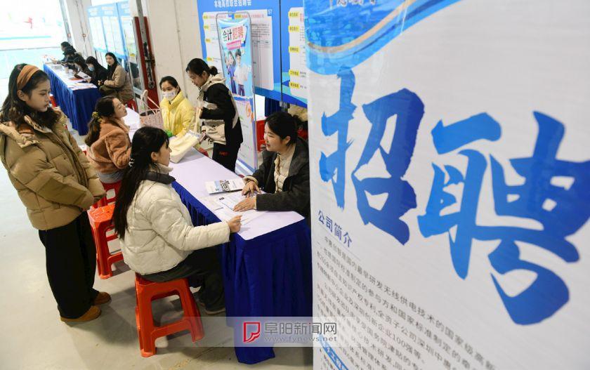 300多家企业拿出超6300个岗位揽才