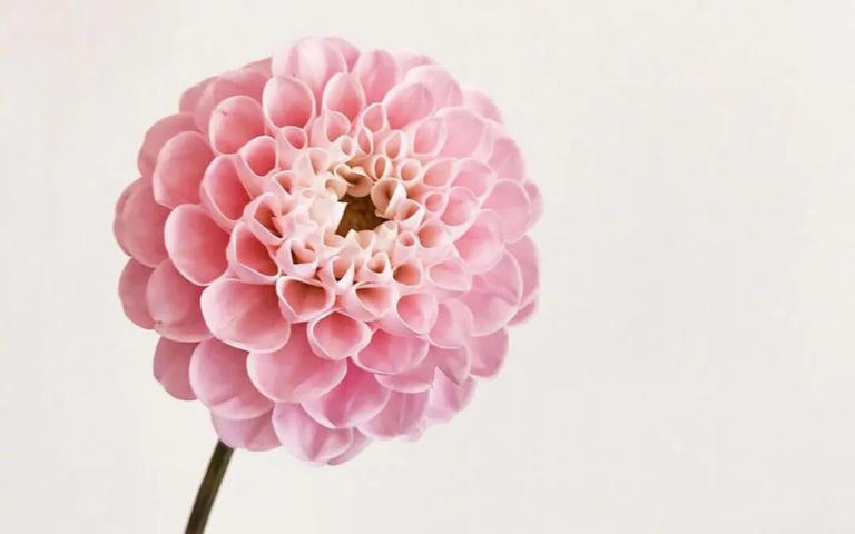 真心爱你的男人，见到你时会有这些反应，很真实骗不了人