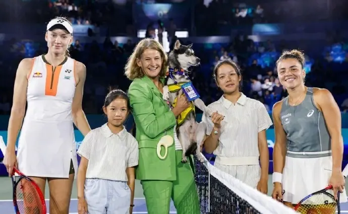 年度最佳赛事，宁波和香港光荣上榜!