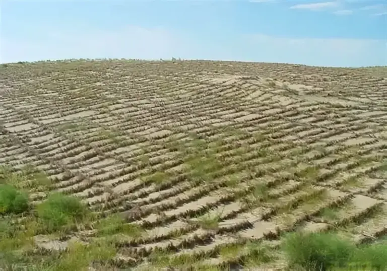 沙漠有用为啥还要治? 中国47年治沙真相，竟然不是为了消灭它?