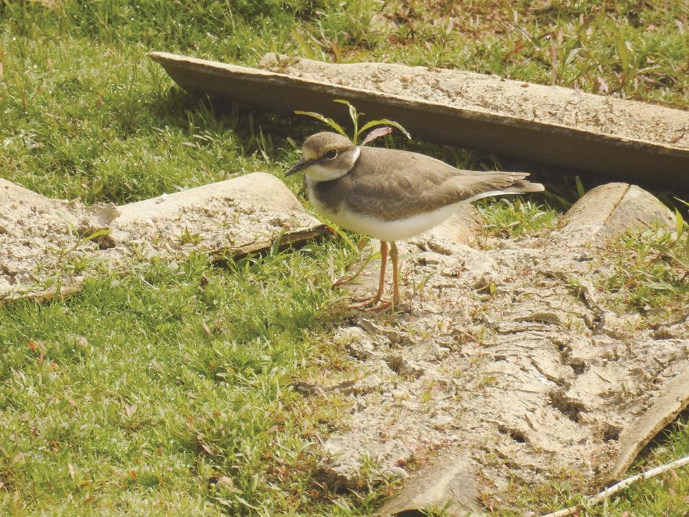 “415”“461”都是10后的他发现的