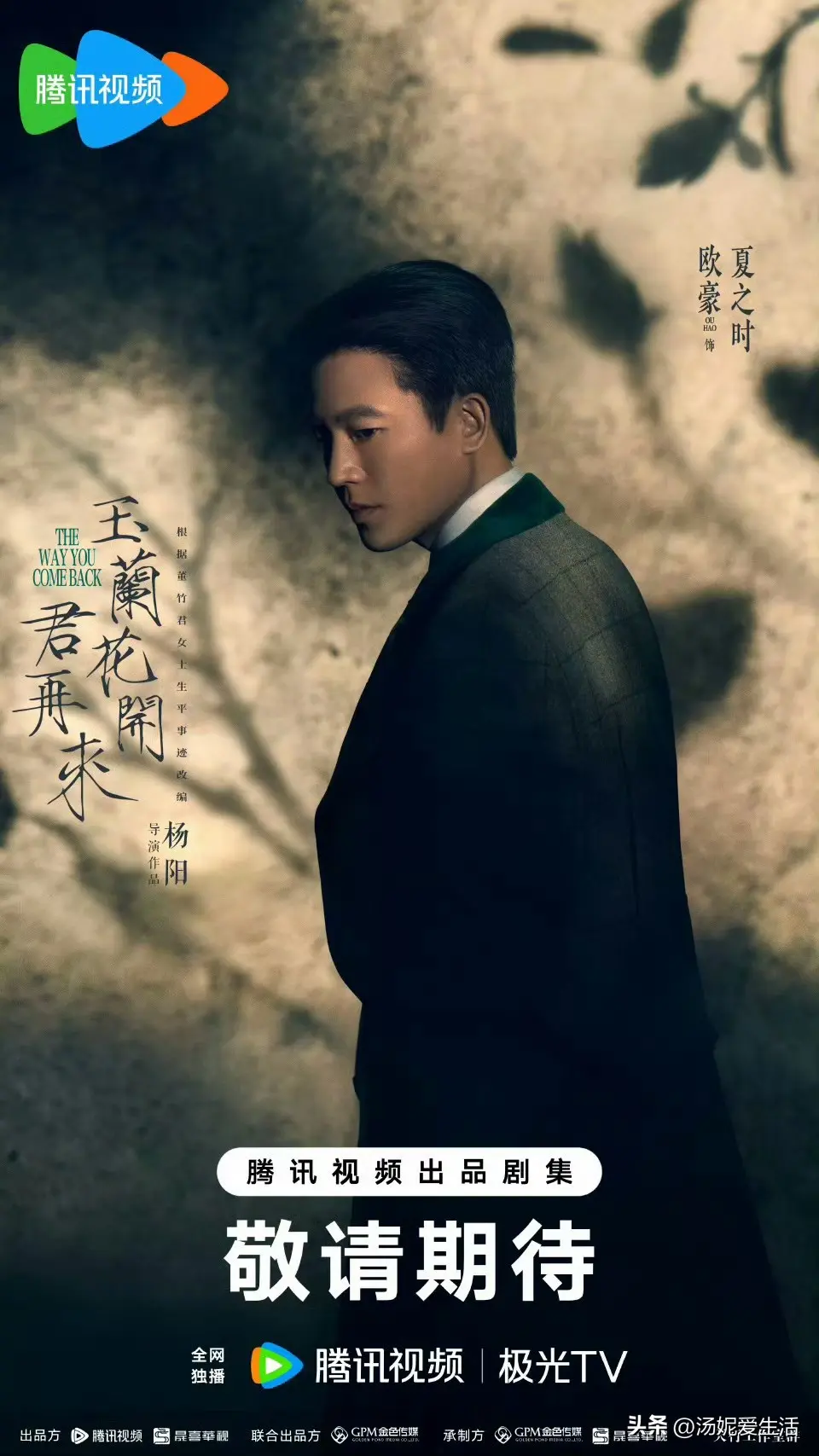 杨紫欧豪三搭破局：《玉兰花开君再来》