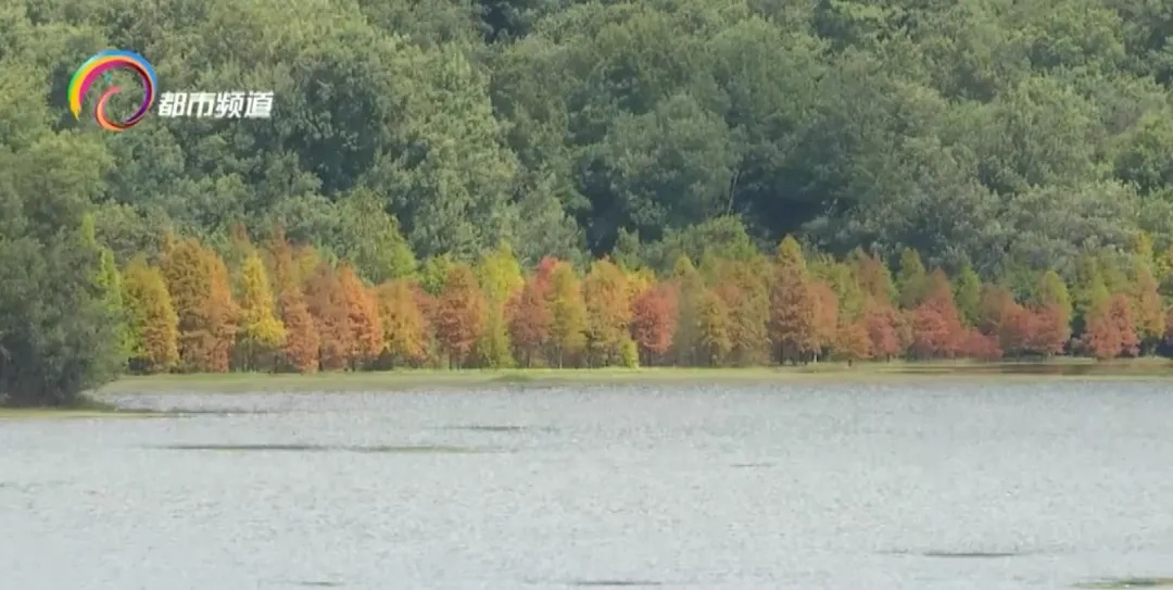 创历史新高!云南库塘蓄水量106亿立方米