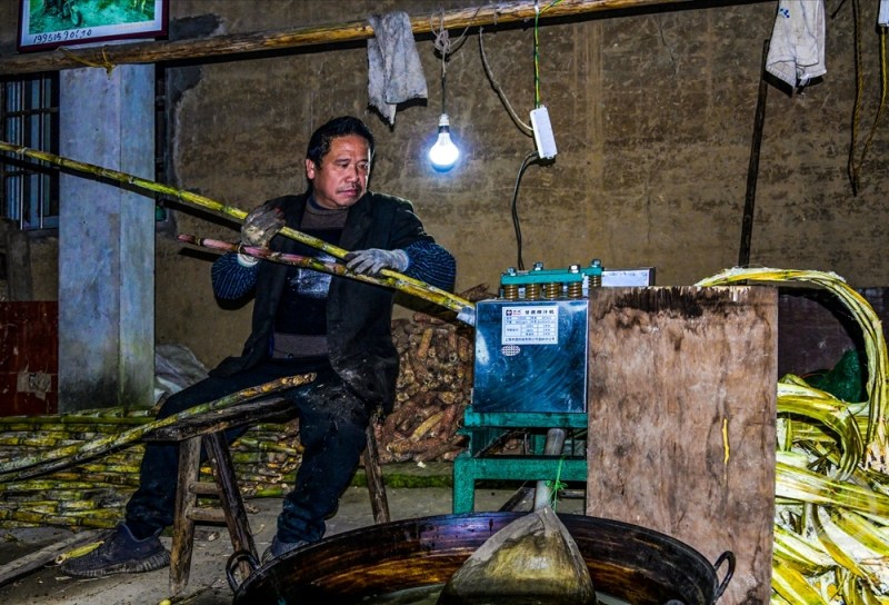 冬趣（332）｜上游主题摄影征稿作品展——刘学芬作品