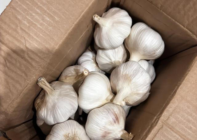 大蒜不仅能吃，把它塞进耳朵里，效果真不错，很多人都需要