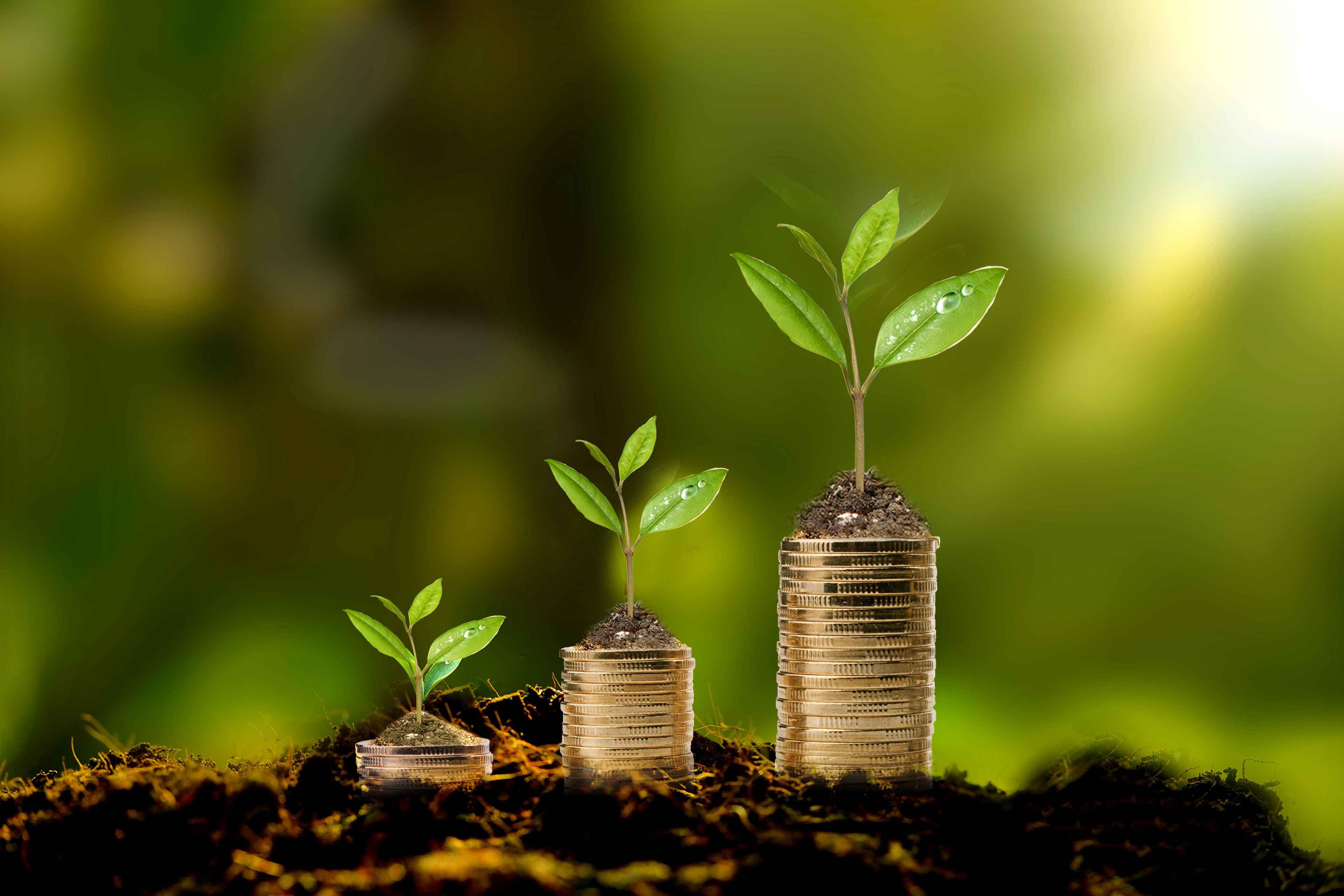 总交易额超200亿元，2025长租公寓成资本新选择