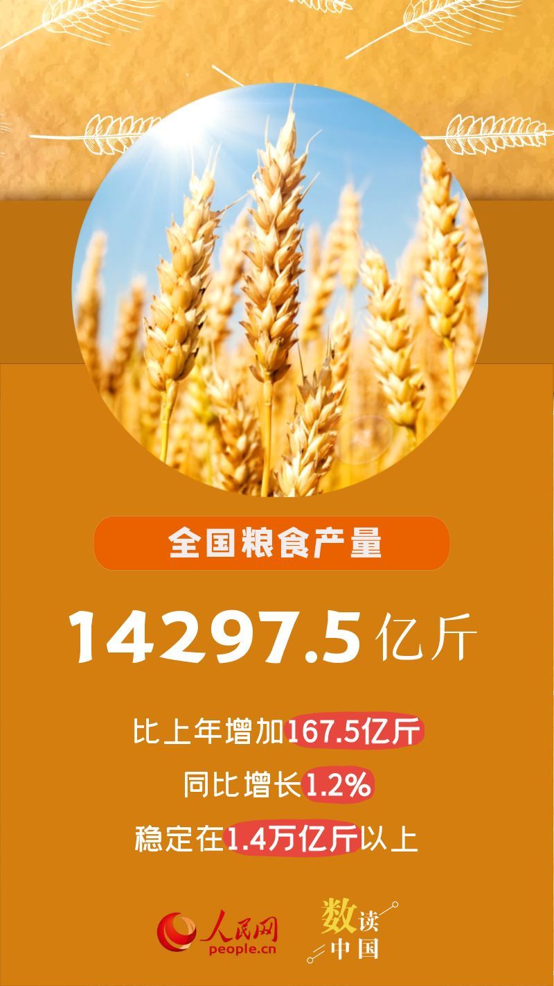 14297.5亿斤!2025年全国粮食实现丰收