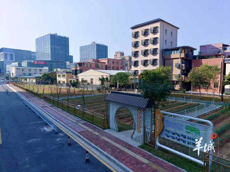 产、城、人融合发展，魅力街镇“百千万工程”调研走进广州番禺