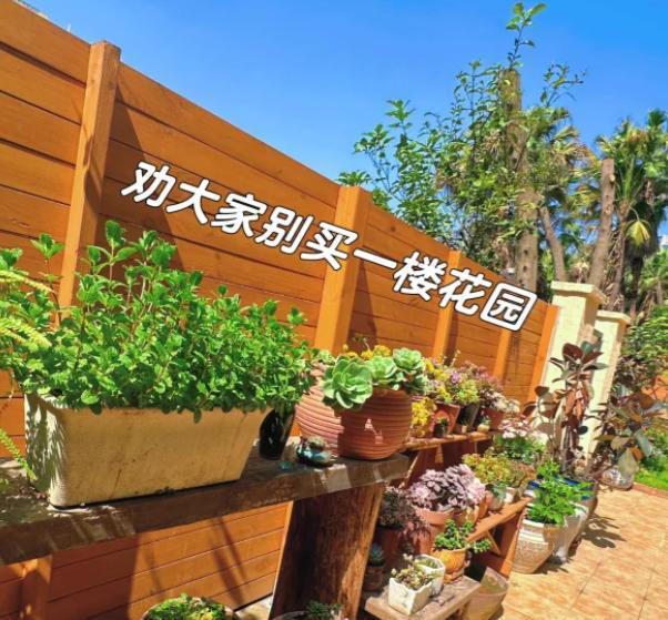 不听劝，买了“一楼带院子”的房子，入住3年，我哭着搬走了!