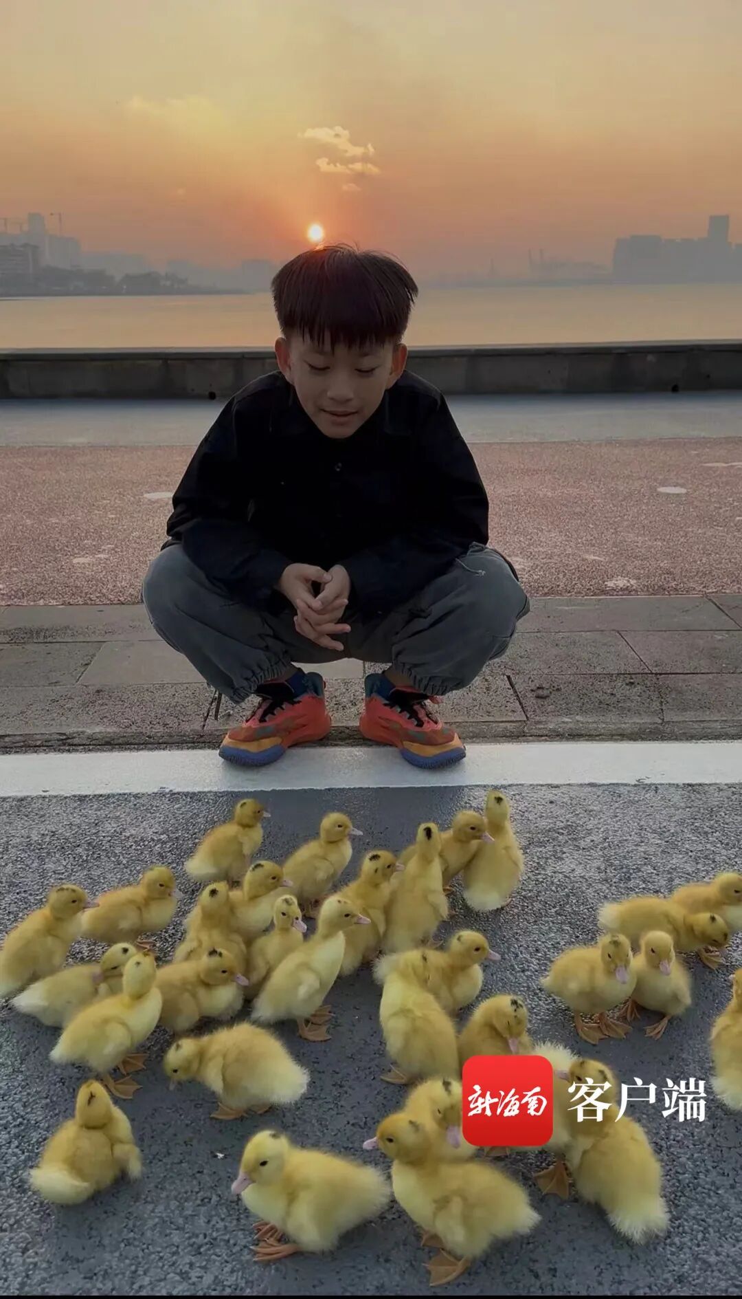 小孩哥街头当“鸭司令”圈粉397万! 驯宠心得揭秘→