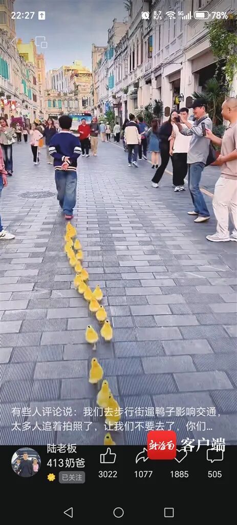 小孩哥街头当“鸭司令”圈粉397万! 驯宠心得揭秘→