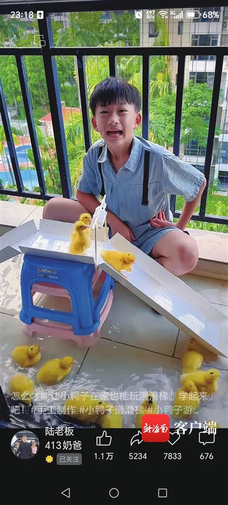 小孩哥街头当“鸭司令”圈粉397万! 驯宠心得揭秘→