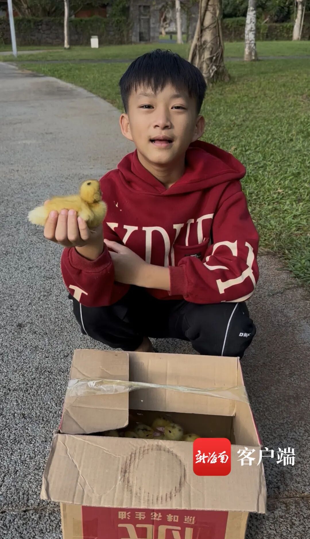 小孩哥街头当“鸭司令”圈粉397万! 驯宠心得揭秘→