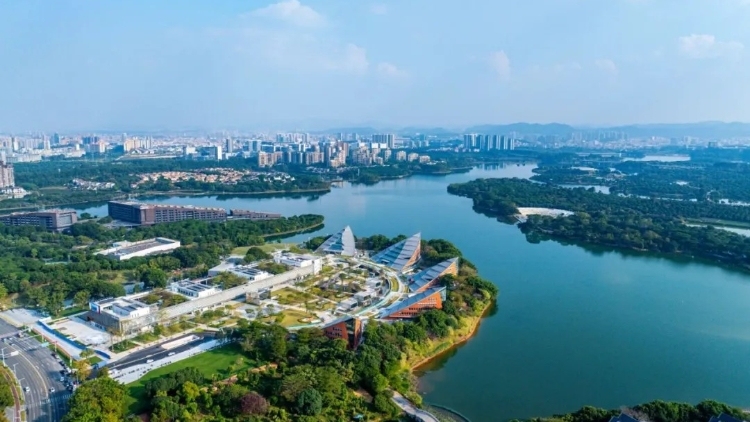 松湖人才引力，BUFF叠满｜热词里的2025 ⑤