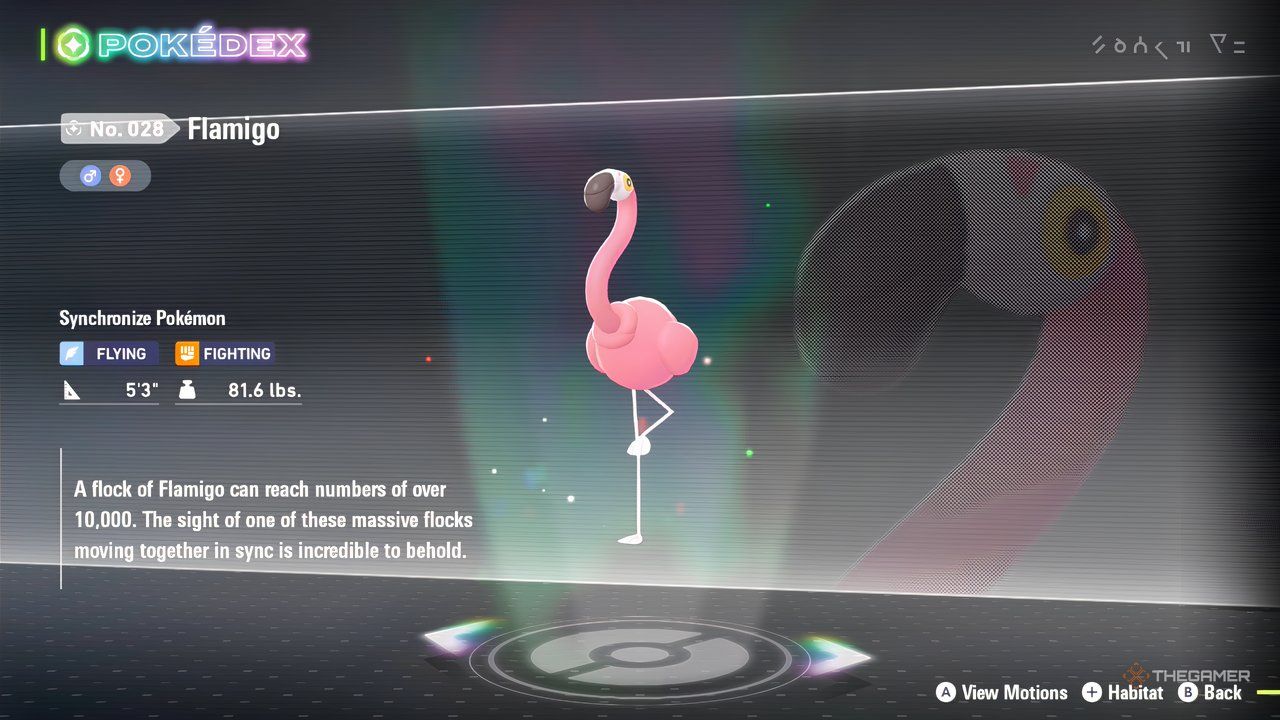 《宝可梦传说：Z-A》中最强的飞行系宝可梦 - Mega Dimension