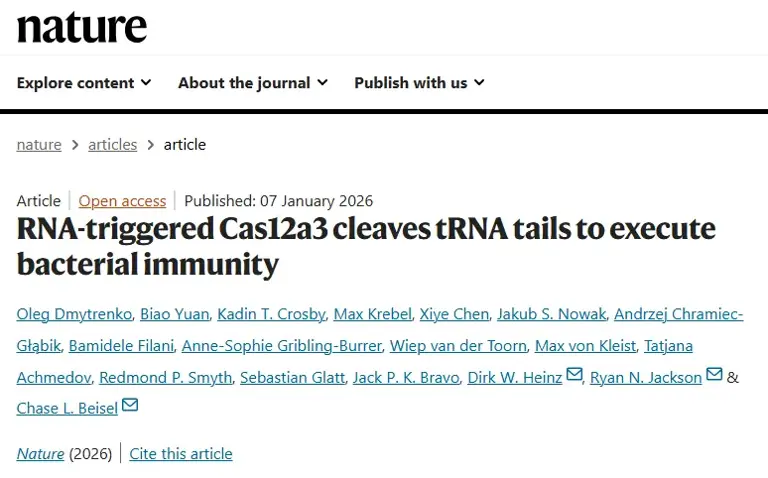 Nature | CRISPR家族的新刺客：Cas12a3舍弃DNA靶向能力，进化出RNA触发的"tRNA修剪"活性