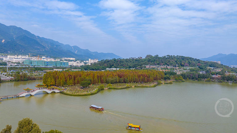 冬趣（364）｜上游主题摄影征稿作品展——何华文作品