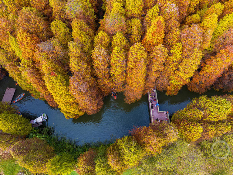 冬趣（364）｜上游主题摄影征稿作品展——何华文作品