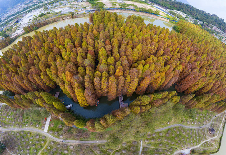 冬趣（364）｜上游主题摄影征稿作品展——何华文作品