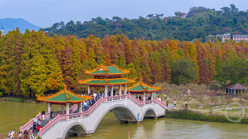 冬趣（364）｜上游主题摄影征稿作品展——何华文作品