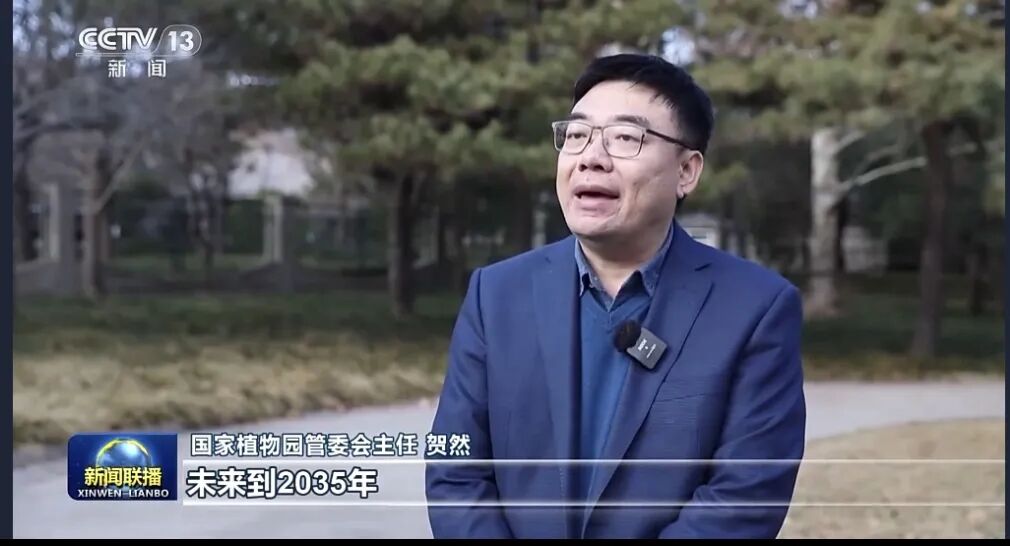 再见2025，你好2026