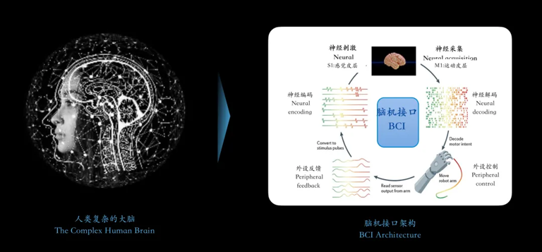 Sam Altman 的脑机接口公司刚建立，国内已经有了对标公司