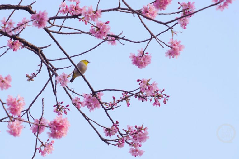 冬趣（394）｜上游主题摄影征稿作品展——李勇作品