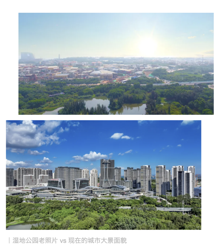 活力生根 共兴厦门 | 厦门地铁TOD品牌焕新发布