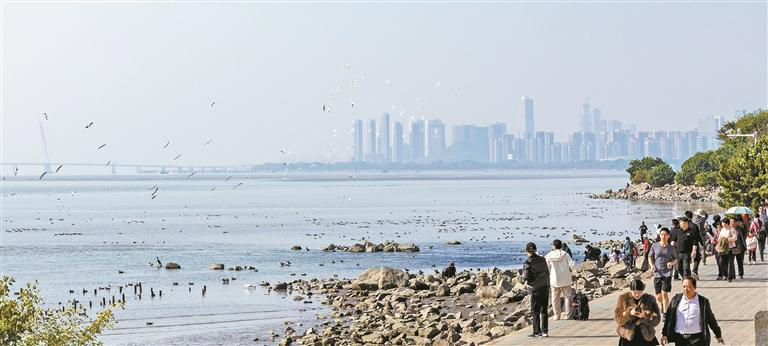 单次调查水鸟最大记录数量由871只飙升到6593只