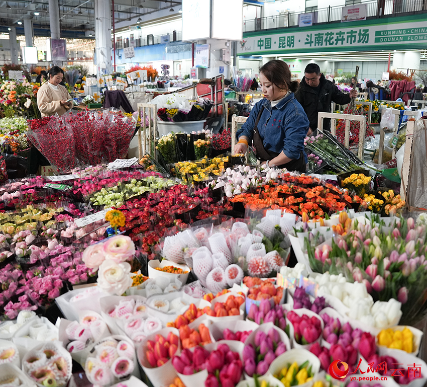 晨光未至 花市已燃