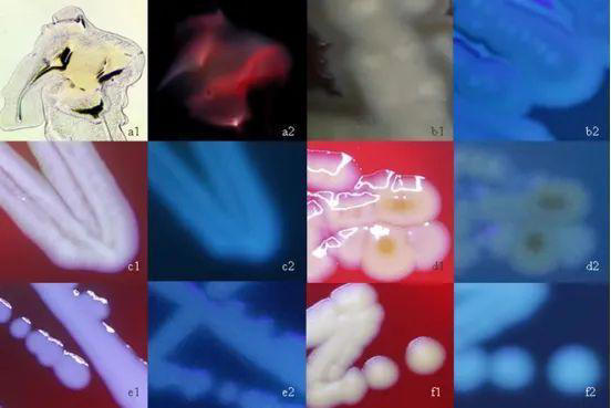 专访冰寒：一个理想主义者的护肤“死磕”之路
