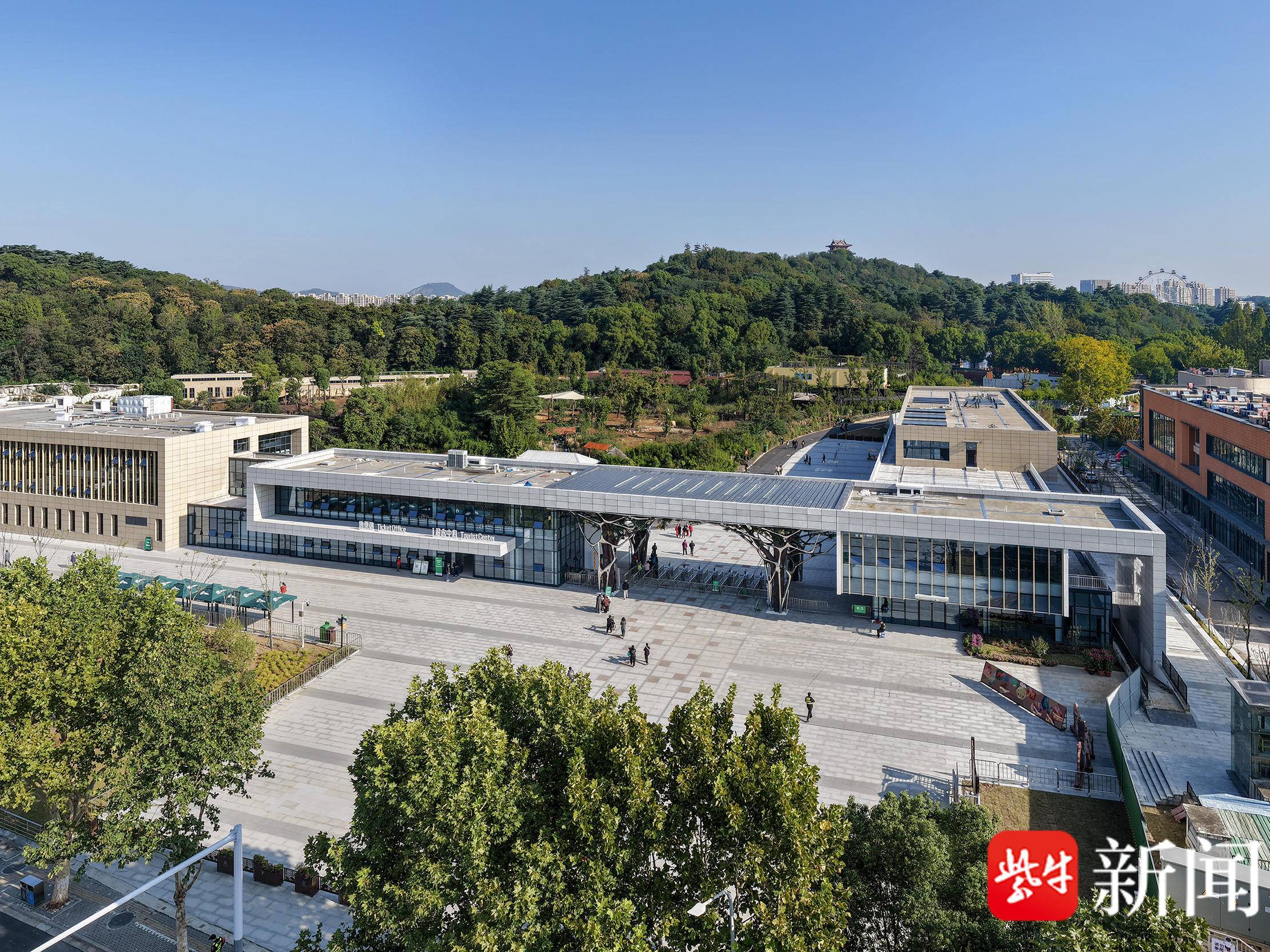 “大鱼缸”里上演“连续剧” 南京玄武区绘就城市中心共生画卷