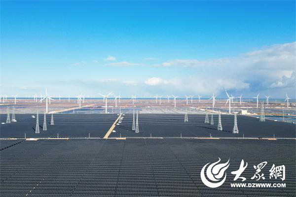 1627万千瓦装机全省第一! 烟台新能源为何领跑齐鲁