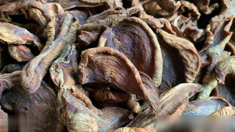 冬天碰到这菜别手软，买100斤晒干囤着，炖肉吃特香!