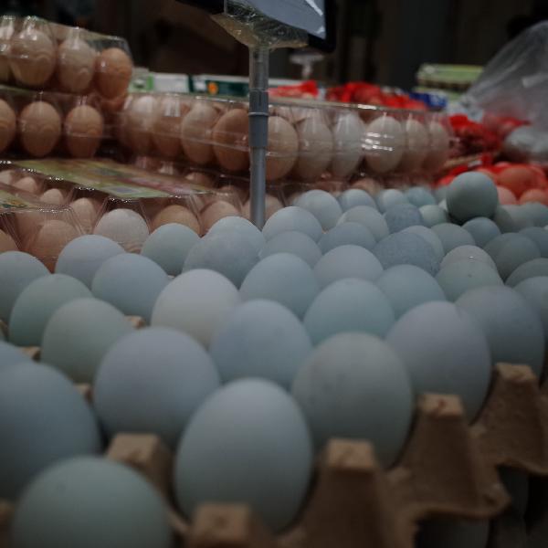 老人必看!这些高蛋白食物比鸡蛋更营养，第一名太意外了