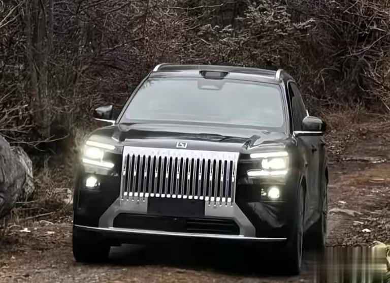 极氪8X现身造型精致大气，超宝马X5长，或搭2.0T+三电机