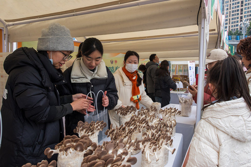 冬趣（547）｜上游主题摄影征稿作品展——易华芸作品