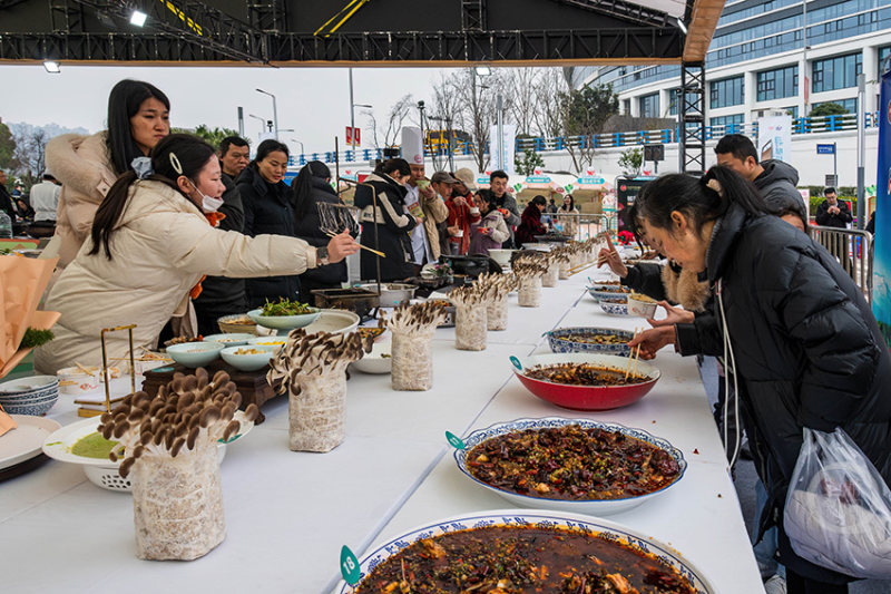 冬趣（547）｜上游主题摄影征稿作品展——易华芸作品