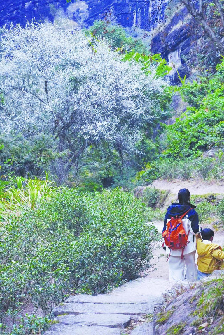 岩谷花香里 漫品武夷冬