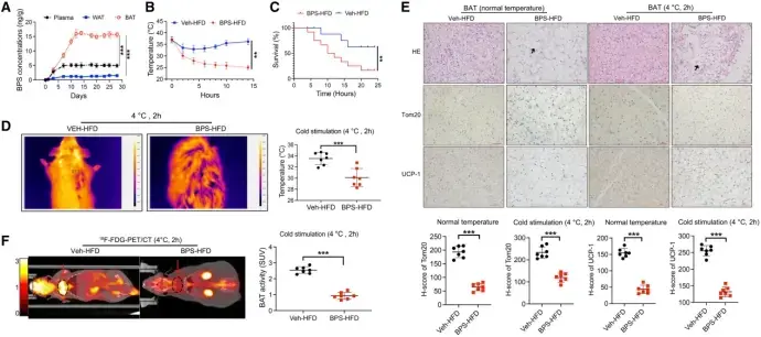 AbMole丨FCCP：破坏质子梯度调节细胞行为抑制细胞迁移和代谢