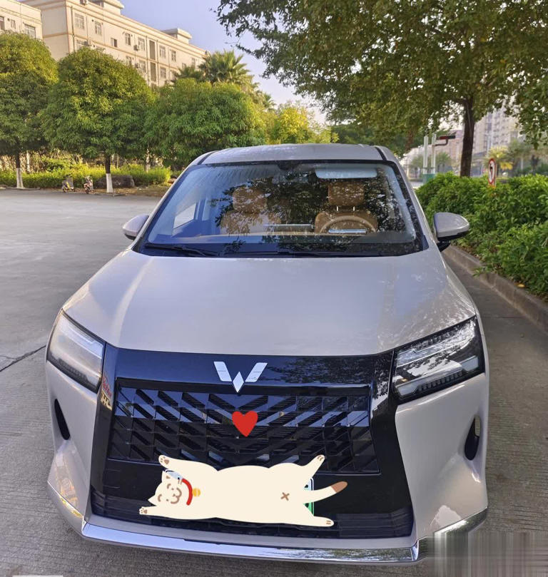 3100万车主之选! 10万买五菱7座大空间MPV，开3500km体验