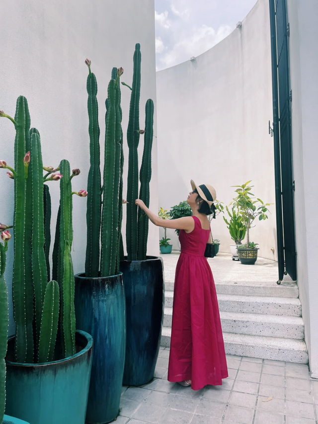 广东一棵“量天尺”长到6层楼高，网友直呼神物!