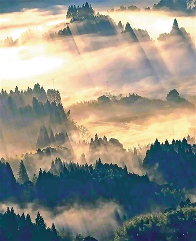 谍战小说《破雾者》：身份的辨识与自我的“破雾”